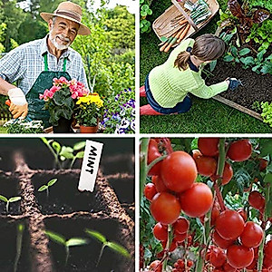 macoya Seed Starter Tray, Seedling Starter Peat Pots Kits, Biodegradable Compostable Planting Pots for Vegetable Fruit Flower, Indoor Outdoor & Organic Garden, 150 Cells Plus 30 Plant Labels