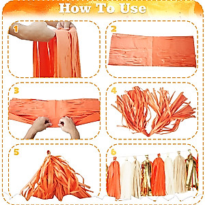 Aperol Spritz Decor Aperol Spritz Birthday Decorspritz Bridal Shower Decor Tassel Balloon Banner, Bridal Bachelorette Engagement Wedding Theme Decor Surprise