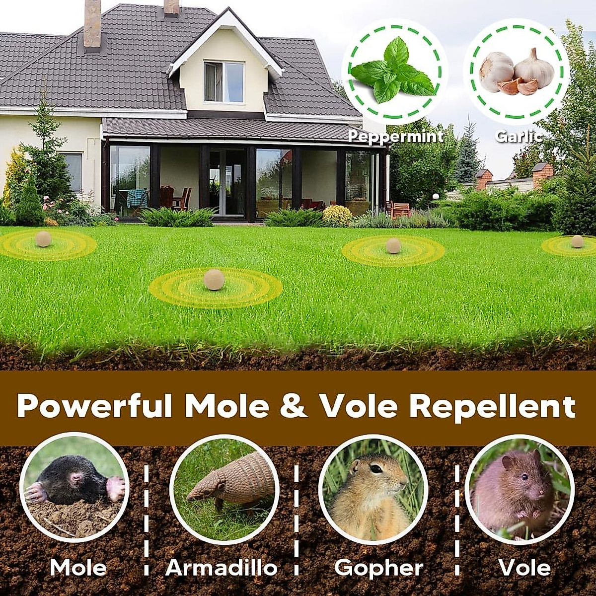 Pufado Mole Repellent, Gopher Repellent Outdoor, Vole Repellent, Mole Deterrent for Yard, Mole Repellant for Lawn, Mole Control, Keep Mole and Vole Out of Your Garden, Safe Around Pet & Plant-8 Packs