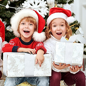 Cindeer 2 Rolls Christmas Glitter Wired Edge Ribbon Wired Fabric Ribbons for Gifts Wrapping Garland Card Craft Wreath Holiday Party Home(2.5 Inch X 20 Yard in Total,White)