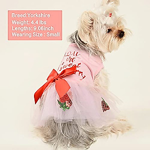 Dog Dress Sequins Strawberry Tulle Puppy Clothes Costumes Outfits for Small Dogs Girl (Large, Pink)