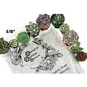 3 Gallon Bag Garden Pumice (1/8" Stone) - 12lbs