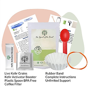 1 SET Milk Kefir Grains Set Starter Culture, Fresh Live Active Probiotic Start your own Kefir Culture at Home, Bulgaros de Leche, Pajaritos, Homemade Kefir Milk