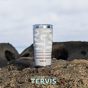 Tervis Traveler NFL Washington Commanders - Slogan Triple Walled Insulated Tumbler Travel Cup Keeps Drinks Cold & Hot, 20oz, Stainless Steel