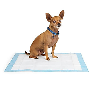 So Phresh Essentials Potty Pads, Count of 150