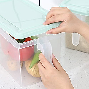 PENGKE 4 Pack Fridge Organizer,Plastic Food Storage Container with Lid and Handle,Fruit Refrigerator Organizer Bins for Kitchen Fridge Desk Cabinet Food Storage to Keep Fresh Furit Eggs Vegetables,5L