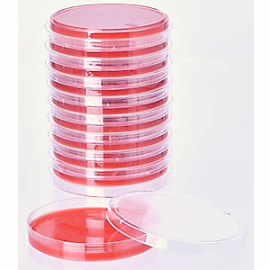 Blood Agar Plate, 5% Sheep Blood in Tryptic Soy Agar (TSA) Base, 15x100mm Plate, Order by The Package of 100, by Hardy Diagnostics