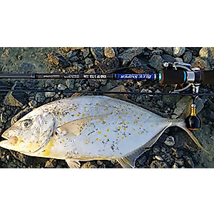 LITTMA Trout Rod7‘3“Panfish Rod Trout Fishing Rod Light &Ultralight Fishing Rod Crappie Rods Ultralight Spinning Rod 2 Piece Graphite Lightweight Trout Rods Spinning Ultra Light Fishing Spinning Rod