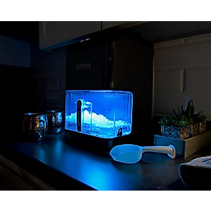 Igloo Thermostar 40-Pound Nugget Ice Maker with Auto-Clean and LED Panel, Ice Scoop, Black Stainless