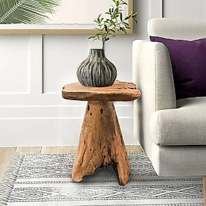 Warmaxx Natural Irregular Shape Tree Stump End Table Plant Stand, 14"x13"x18"H Solid Cedar Wood Outdoor Rustic Sit Foot Stools Live Edge Coffee Side Table for Living Room Bedroom Bath Outdoor Garden