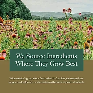 Gaia Herbs Adrenal Health Daily Support - with Ashwagandha, Holy Basil & Schisandra - Herbal Supplement to Help Maintain Healthy Energy and Stress Levels - 180 Liquid Phyto-Capsules (180 Count)