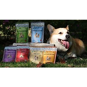 OPTIMIZED RECOVERY Lion's Mane & Cordyceps >25% & >35% β-glucans 100% Mushrooms Fruiting bodies Extracts Blend for Dogs & Cats. Recovery Aid, Healing & Senior Pet Health Formula. 250 SERVINGS for 25lb