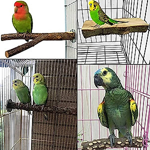 kathson Wood Bird Perch Parrot Stand Platform Branches Parakeet Swing Chew Toys Natural Paw Grinding Stick Cage Accessories for Cockatiels Budgie Conure Finches Lovebirds 8PCS