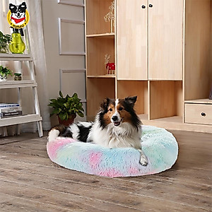 Cat Beds for Indoor Cats - Cat Bed Washable 24 inches, Dog Beds for Small Medium Dogs, Anti Anxiety Round Fluffy Plush Faux Fur Cat Bed, Thick Bottom (Rainbow, Large)
