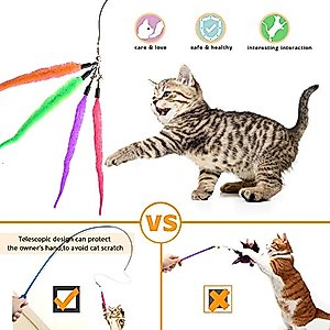 Retractable Cat Wand, Interactive Catcher Teaser Cat Toy 3-Section Teaser Cat Wand Fishing Pole Toy Exerciser for Cat and Kitten (Not Include Replacement)