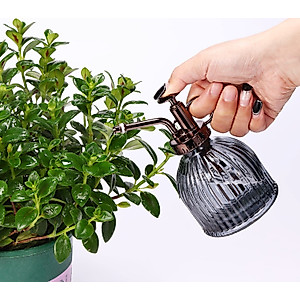 Aebor Glass Plant Mister Spray Bottle, 6.5" Green Glass Water Spray Bottle with Gold Top Pump Small Watering Can, Small Plant Sprayer Mister for Indoor Outdoor House Plant (Gray+Bronze A)