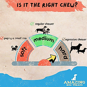 Amazing Dog Treats - Wishbone Beef Tendon - 60 Count - Meaty Thick Bully Tendon Dog Chews - Long Lasting Beef Tendons for Dogs - Best Bully Stick Tendons - No Hide Dog Chew