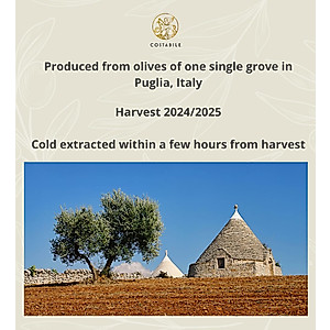 Extra Virgin Olive Oil Cold Pressed Organic. High polyphenol olive oil from Puglia Italy. Fresh harvest from a single estate - COSTABILE Classic Blend 8.45 Fl. Oz.