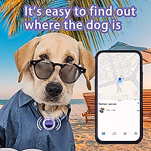 Airtag Keychain Waterproof,Air Tag Holder Case Compatible with Apple AirTag Case for Dog Cat Collar Tracker Key Ring Locator Protective Cover (GI-Blue/Purple-2PC)