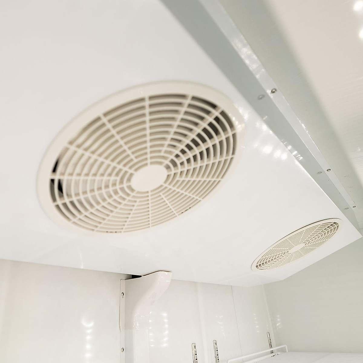 PEAKCOLD Commercial Upright Display Cooler - Merchandiser Refrigerator with Three Glass Doors and LED Lighting, 57.5 Cu Ft Capacity, Adjustable Shelves, Perfect for Restaurants, Cafes, and Bars