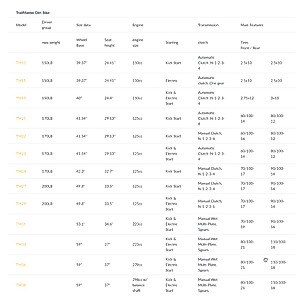 Trailmaster TM11 Dirt Bike 110cc Automatic Great Kids Bike, More power 25" inch seat 10 inch rims (green)