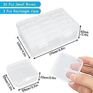36 PCS Small Bead Organizers with 3 PCS Hinged Lid Rectangle Clear Craft Case, Mini Plastic Bead Storage boxes Containers for Storage of Small Items, Jewelry, Diamonds, DIY Art Craft Accessory