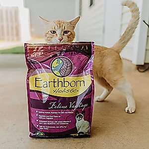 Earthborn Feline Vantage 14 lbs