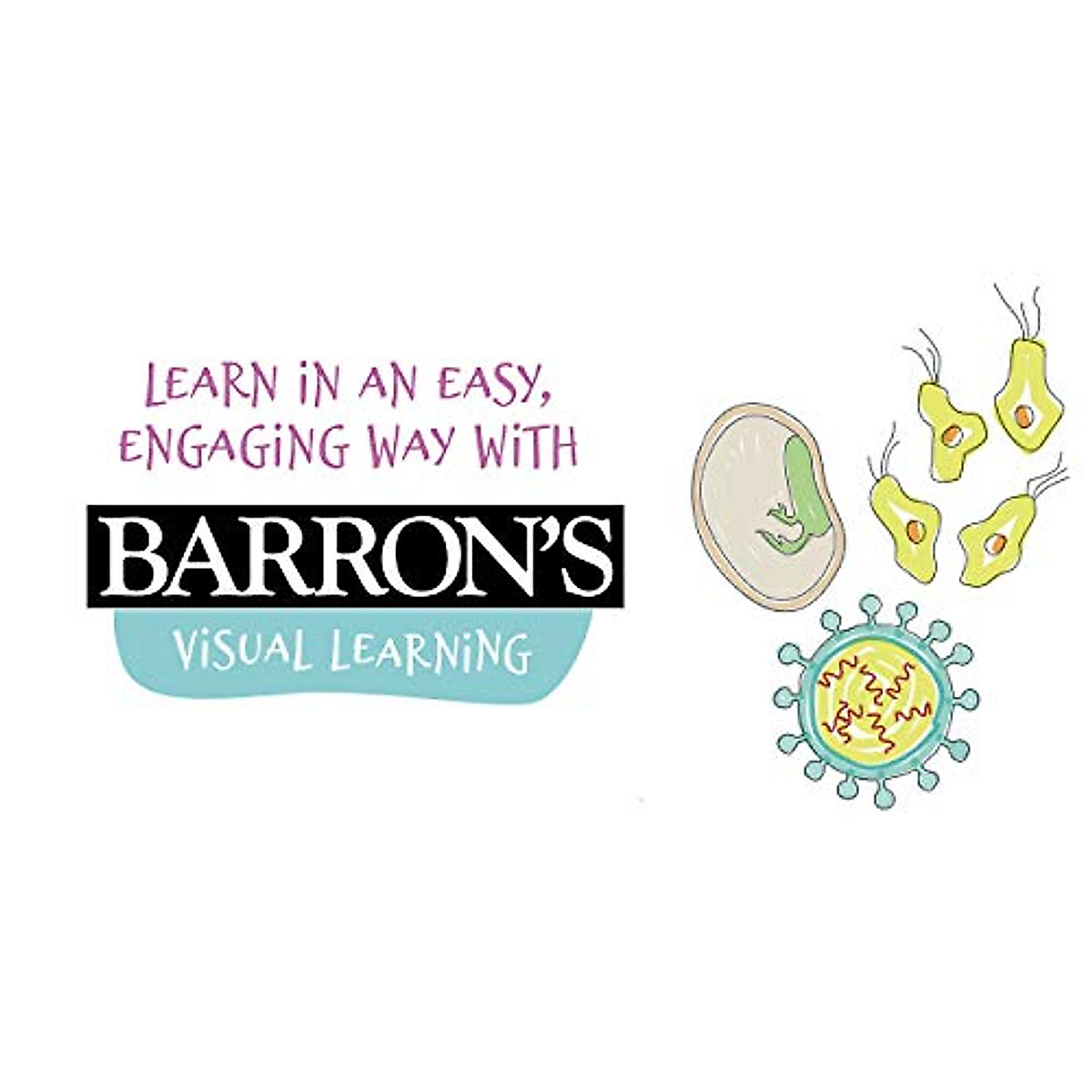 Visual Learning: Biology: An illustrated guide for all ages (Barron's Visual Learning)