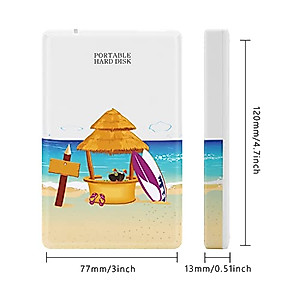 NRICO 2.5 inches Ultra Slim Portable External Hard Drive USB3.0 HDD Storage Mobile Hard Disk Compatible for PC, Mac, Desktop, Laptop (320GB, Beach)