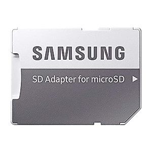 SAMSUNG 256GB EVO Plus MicroSDXC w/Ad