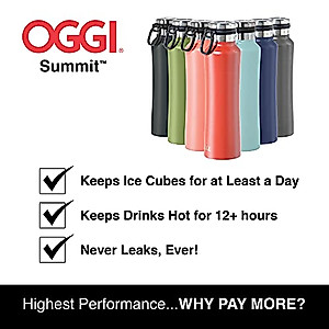 Oggi Summit Vacuum Insulated stainless steel bottle - Olive, 19 oz, with flip top lid and easy grip carrying handle for hot and cold beverages.