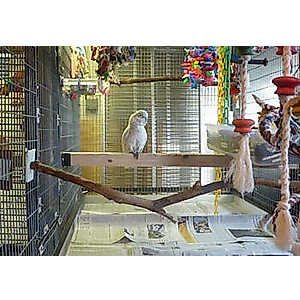 Natural Inspirations Parrot Cages Birdy Bracket 2x4 Holders (Black and Silver)