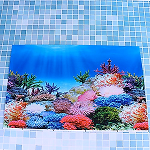 balacoo Fish Tank Background Fish Tank 10 Gallon Aquarium Background Sticker 3D Double- Sided Durable Wallpaper Fish Tank Backdrop Decorative Pictures 3D Aquarium Background 3D Aquarium Background