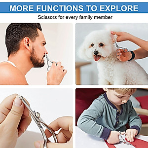 Avenoir Facial Hair Scissors for Men, Professional Mustache & Beard Scissors, Nose Ear Eyebrow Pet Trimming Stainless Steel Scissors(Safety Round Tip Design), Silver, 5.3inx2.16inx0.7in