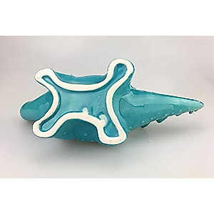 VanEnjoy 12 inches Cute Cartoon Dinosaur Ceramic Succulent Planter, Water Culture Hydroponics Bonsai Cactus Flower Pot,Air Plant Vase Holder Desktop Decorative Organizer (Stegosaurus, Blue)