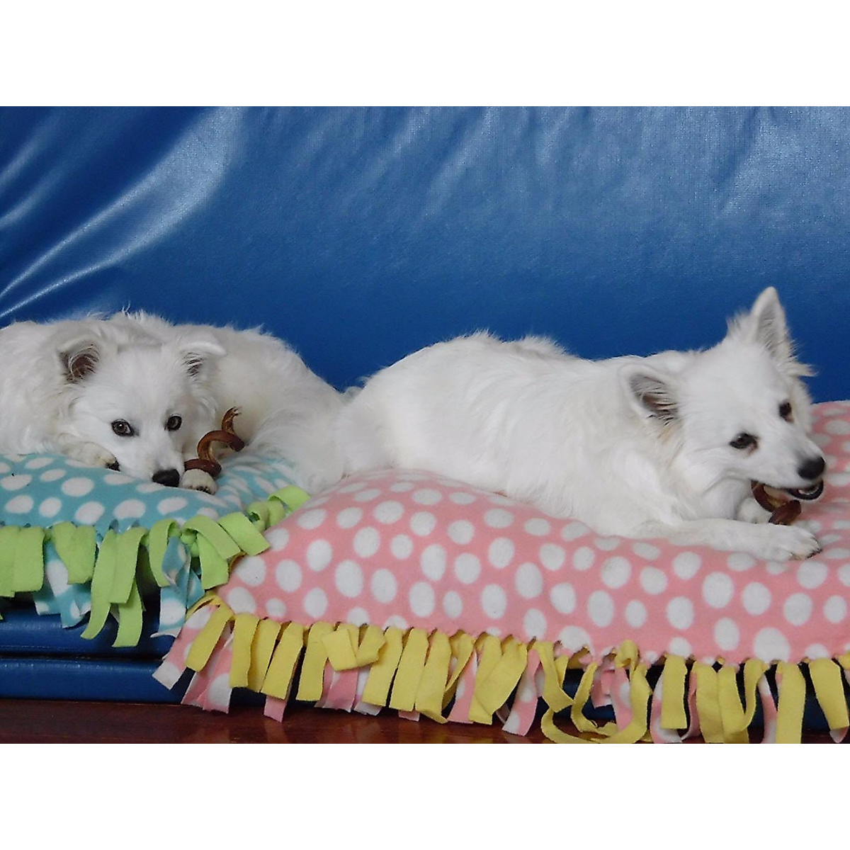 Pawstruck All-Natural 6" Bully Stick Springs for Dogs - Fun Challenging Rawhide Free 100% Beef Single Ingredient Chew Treat Bones - Fully Digestible Low Odor - 10 Pack - Packaging May Vary