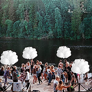 Dandy Decor 60 Pack White Balloons + White Confetti Balloons w/Ribbon | Latex Balloons 12 Inch | Balloon White | Bridal Shower Balloons | Wedding Balloons | Round Balloons | White Party Decorations |