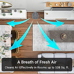 Rosewill True HEPA Air Purifier, Removes Dust, Smoke, Odor, Pollen, Pet Dander, Filters Particulate Pollution, 3 Wind Speeds, UV Light, Digital Control Panel, LED Display, 8-Hour Timer - (RHAP-20001)