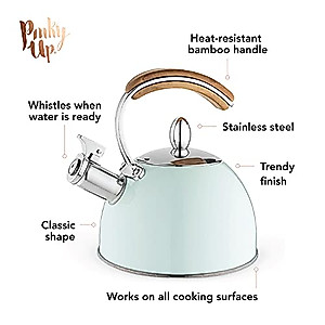 Pinky Up Presley Tea Kettle, Stovetop Stainless Steel Kettle, Whistling, Tea Accessory gifts, Fast Boil Water Kettle, Wooden Handle, 70 oz, Pistachio