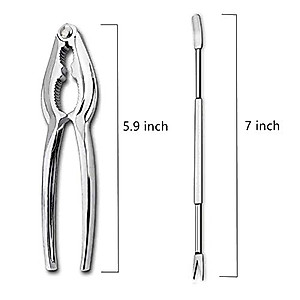 Artcome 12 Pieces Seafood Tools Set including 2 Lobster Crab Crackers and 10 Forks