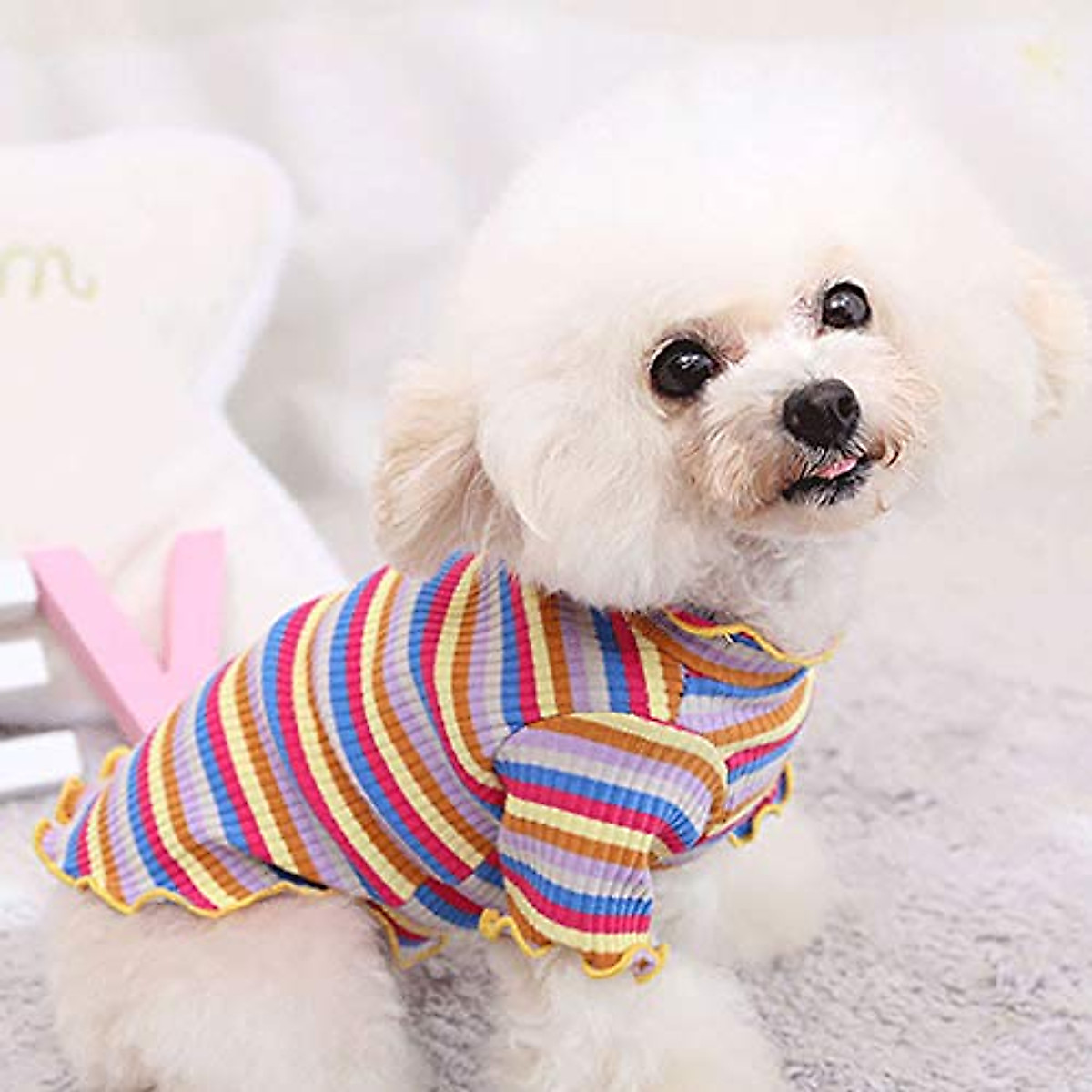 Girl Dog Clothes with Legs T-Shirt Cute Dog Vest Rainbow Clothes Pajamas Winter Cat Puppy Shirt Pet Pet Clothes Winter Dog Clothes for Large Dogs Girl