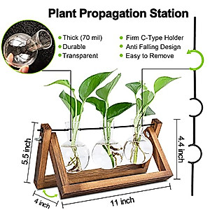 RENMXJ Plant Propagation Station, Gifts for Women, Home Office Garden Decor Planter(3 Bulb Vase)