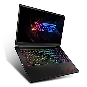 XPG Xenia Intel i7-9750H RTX 2070 Max-Q 8GB, 1TB NVMe SSD, 32GB RAM, Gaming Laptop (XENIA159GENI72070Q-BKCUS)