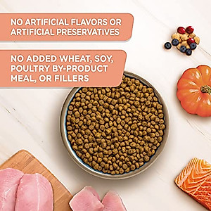 Rachael Ray Nutrish Inner Health Premium Natural Dry Cat Food with Added Vitamins, Minerals & Other Nutrients, Turkey with Chickpeas & Salmon Recipe, 14 Pounds