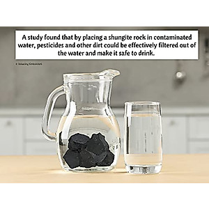 Raw Shungite Stones Crystal Rock, Real Shungite Stones for Water Purification - 30-70mm Piedra Shungite Original (5 Pieces)