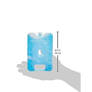 Amazon Basics Reusable Hard Sided Rectangular Ice Pack, 6.5" X 4.3" X 1.2", Blue, Pack of 4