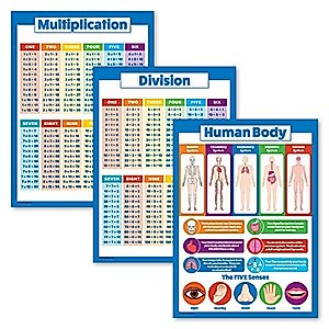 Palace Learning 3 Pack - Multiplication Tables Poster + Division + Human Body Chart for Kids (LAMINATED, 18" x 24")