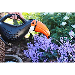 Brilliest Toucan Watering Can Indoor/Outdoor - Cute Watering Can - Bird Shaped Plastic Watering Can - Great for Plants/Indoor/Outdoor/Kids/Succulent - Small Watering Can