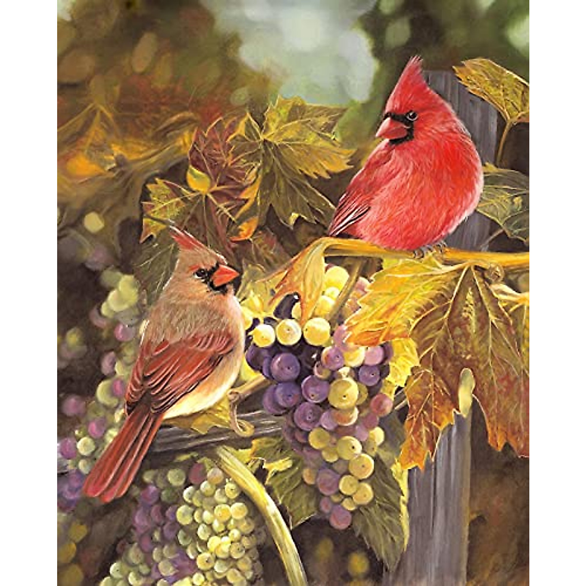Harvest Time Cardinals with Grapes Cotton Fabric Panel David Textiles