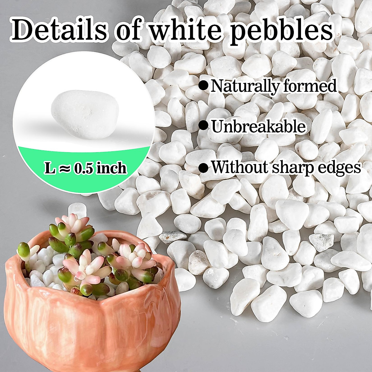 AHSNYLC White Succulent Pebbles - 880G Small White Pebbles Garden Pebbles White Pebbles for Vases,Snow White Pebbles,White Stone White,Aquarium Rocks for Plants,Garden,Fish Tank,Vases, Succulents